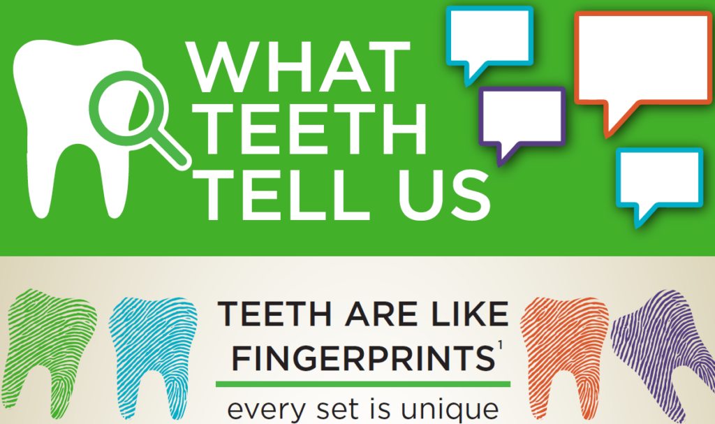 Your Mouth, Teeth, and Body: Handouts and Worksheets - Healthy Smile ...