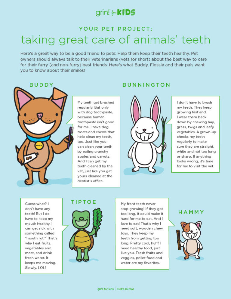 Animal Teeth: Handouts and Worksheets - Healthy Smile Learning