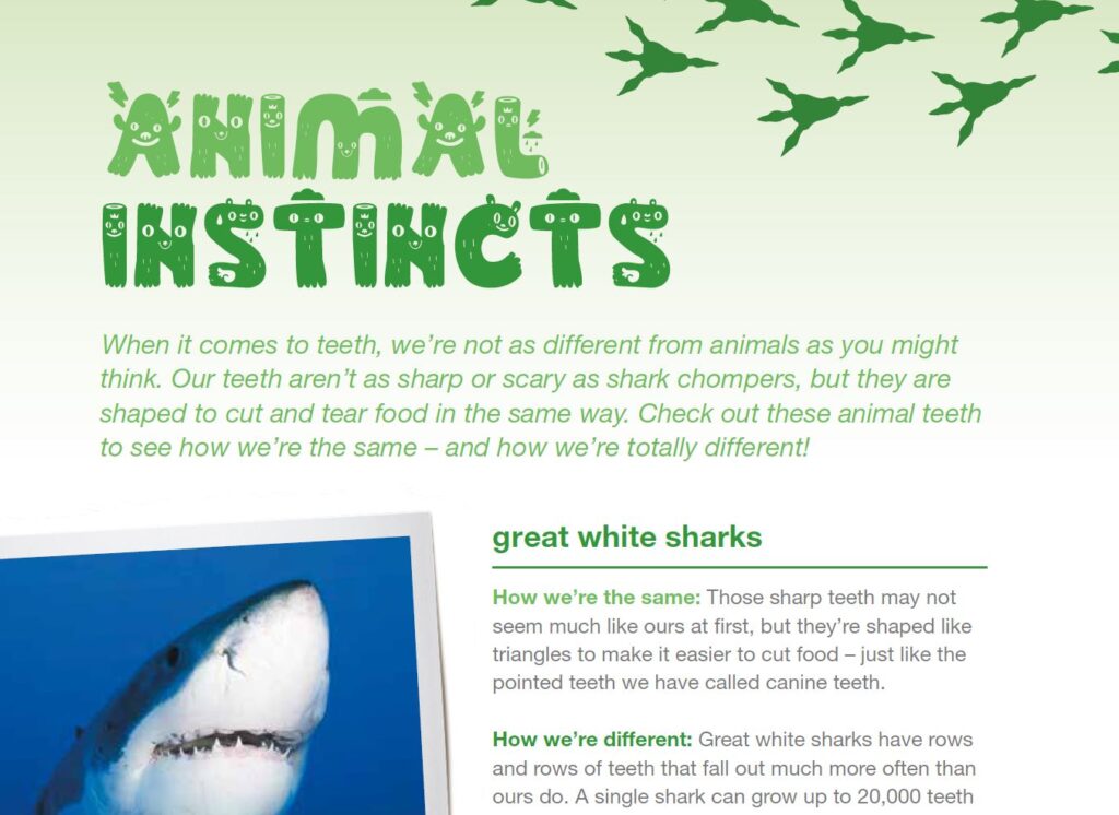 Animal Teeth: Handouts and Worksheets - Healthy Smile Learning