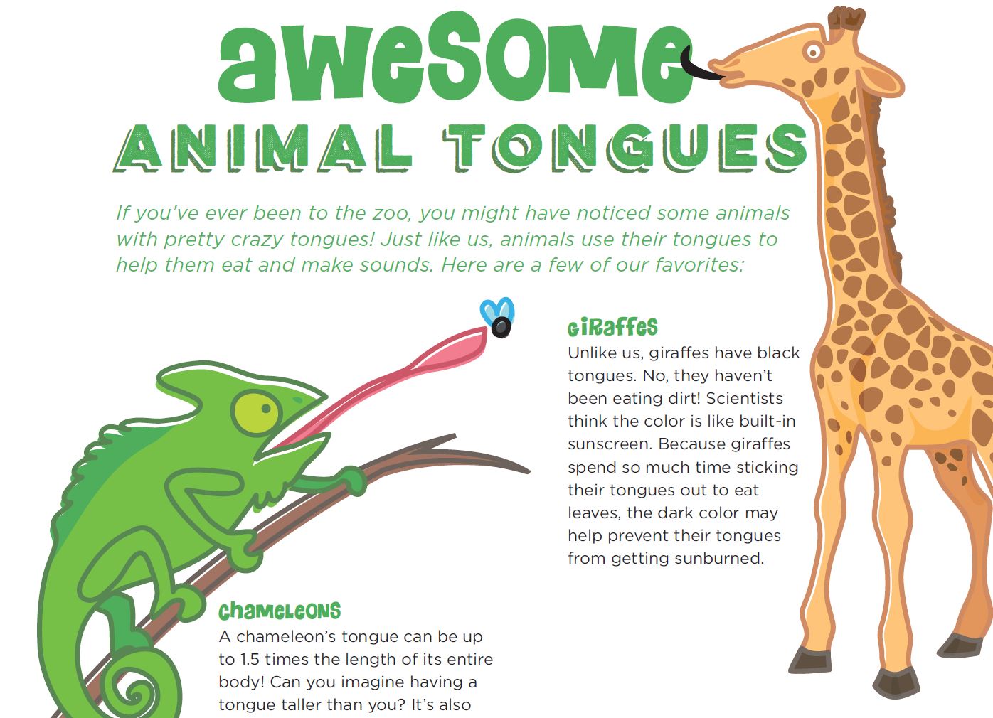 Animal Teeth: Handouts and Worksheets - Healthy Smile Learning